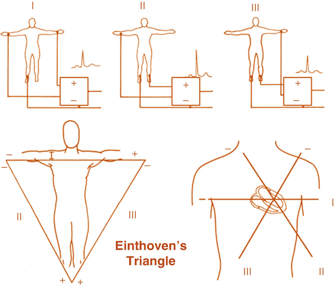 Fundamentals of ECG | SpringerLink
