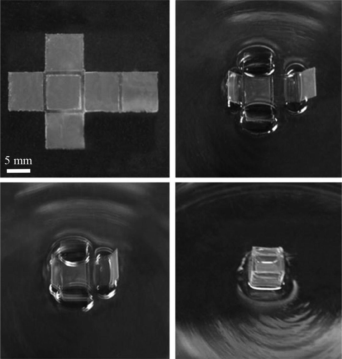 Introduction to Active Origami Structures | SpringerLink