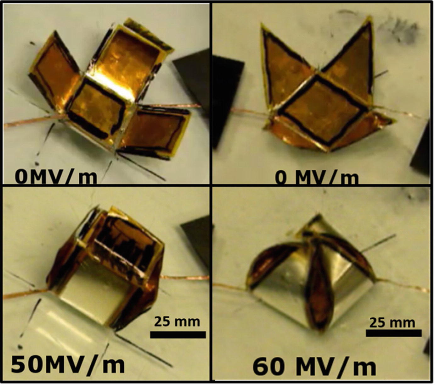 Introduction to Active Origami Structures | SpringerLink
