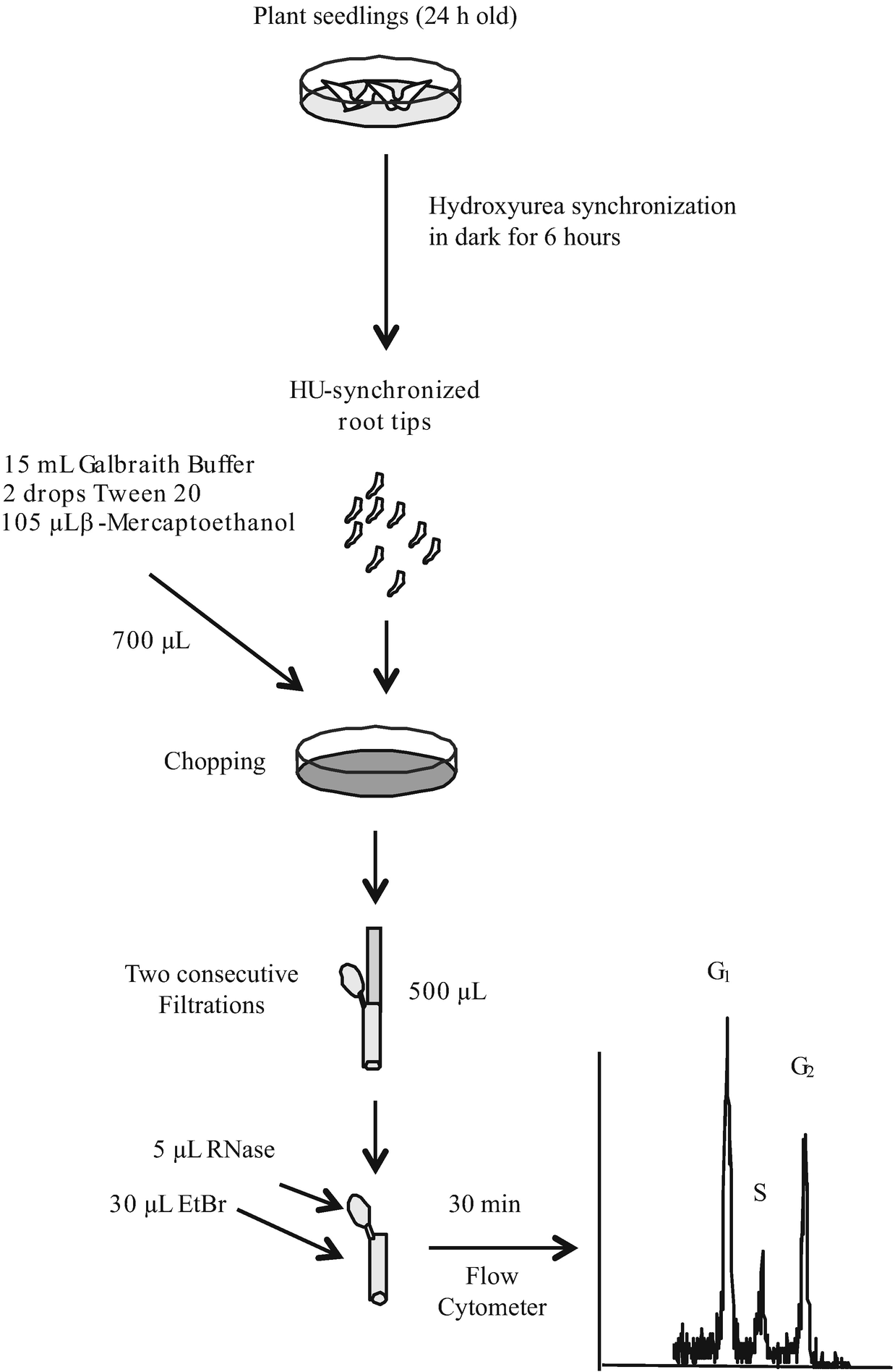 Flow Cytometry: Cell Cycle | SpringerLink