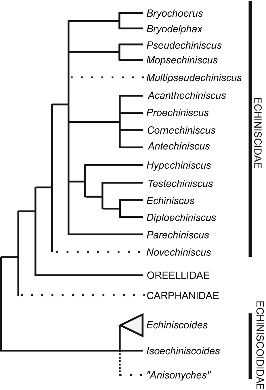 Phylogeny and Integrative Taxonomy of Tardigrada | SpringerLink