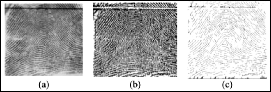 Advances in Fingerprint Technology | SpringerLink