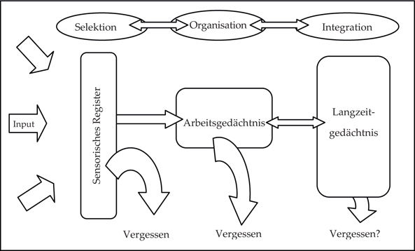 Gedächtnis und Lernen | SpringerLink