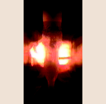 Crystal Growth of Oxides by Optical Floating Zone Technique | SpringerLink