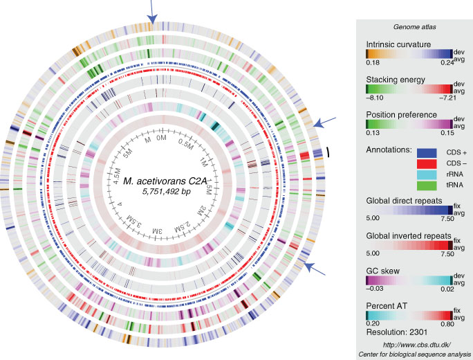 Tools for Comparison of Bacterial Genomes | SpringerLink