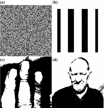 1-bit Image | SpringerLink