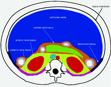 Normal Radiological Anatomy of the Retroperitoneum | SpringerLink