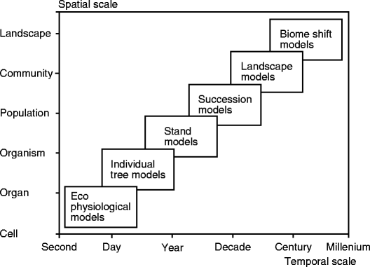 Forest Dynamics, Growth, and Yield | SpringerLink