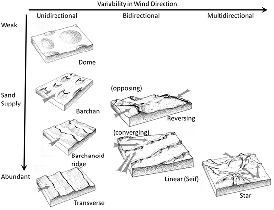 Basic Types of Dunes | SpringerLink