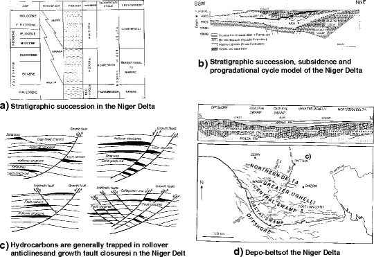 The Niger Delta Basin | SpringerLink