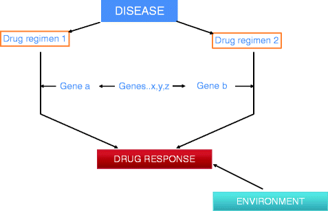 Pharmacogenetics of Idiosyncratic Adverse Drug Reactions | SpringerLink