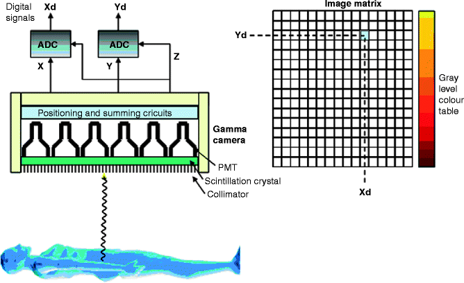 Basic Principles of SPECT and PET Imaging | SpringerLink