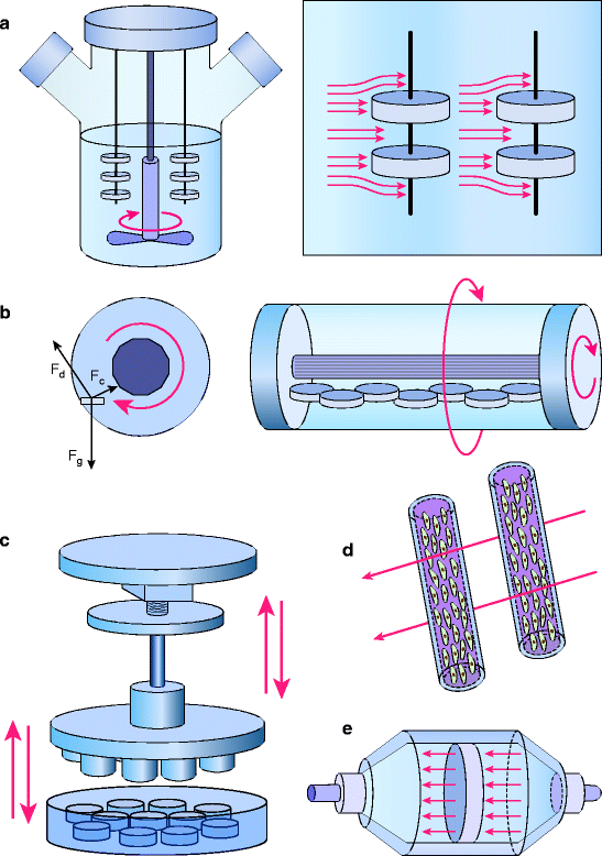 Bioreactors for Tissue Engineering | SpringerLink
