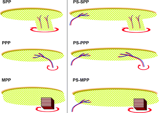 Perforator Pedicled Propeller Flaps | SpringerLink