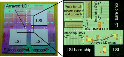 Silicon Optical Interposers for High-Density Optical Interconnects ...