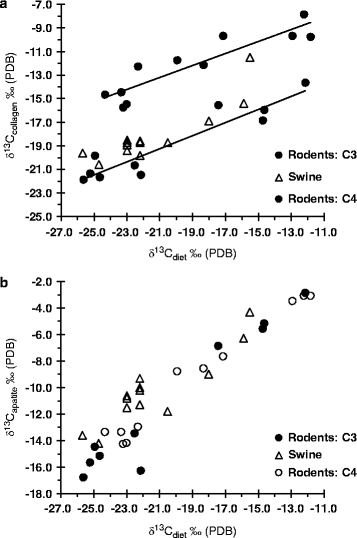 Stable Isotopes of Carbon and Nitrogen as Tracers for Paleo-Diet ...