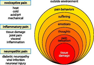 Pain and Nociception | SpringerLink