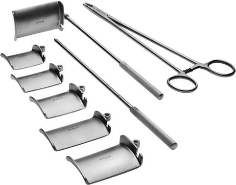 Minimally Invasive Mitral Valve Surgery via Right Minithoracotomy ...