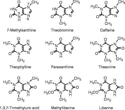 Distribution, Biosynthesis and Catabolism of Methylxanthines in Plants ...