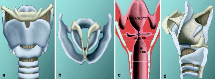 Applied Surgical Anatomy of the Larynx and Trachea | SpringerLink