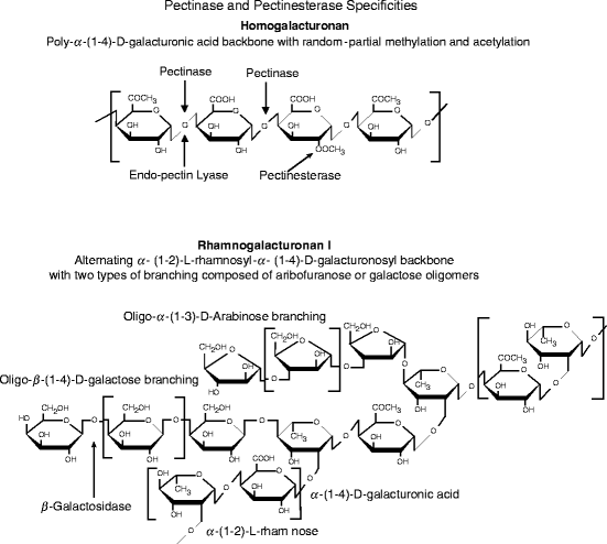 Screening, Characterisation and Optimization of Microbial Pectinase ...