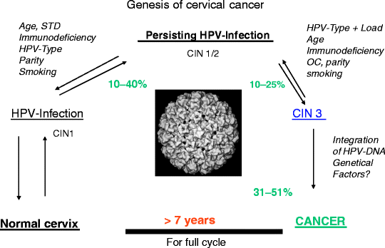 HPV-Infection and Squamous Cell Cancer of the Lower Female Genital ...