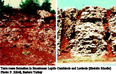 Soils of the Mediterranean Region, Their Characteristics, Management ...