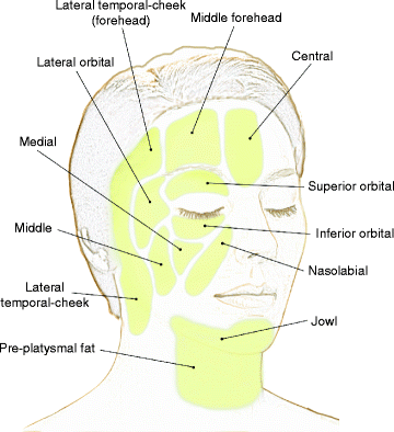 Facial Anatomy | SpringerLink