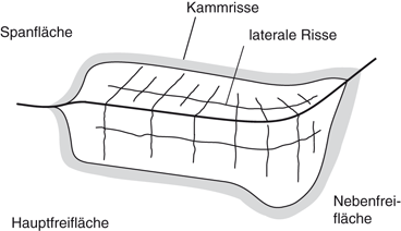 Verschleiß | SpringerLink