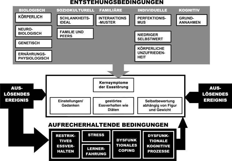 Theoretische Grundlagen zur Entstehung und Aufrechterhaltung von Anorexia und Bulimia nervosa ...