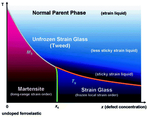 Strain Glass and Strain Glass Transition | SpringerLink
