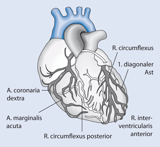 Aortokoronare Bypassoperation | SpringerLink