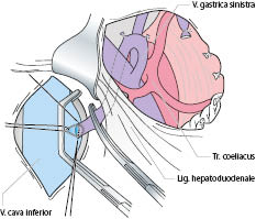 Pfortadersystem | SpringerLink