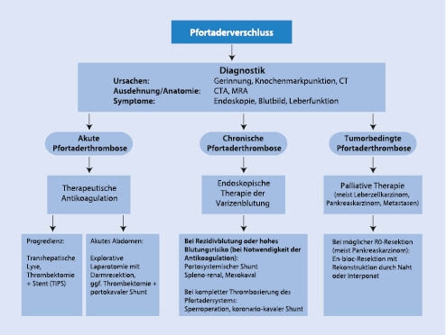 Pfortadersystem | SpringerLink