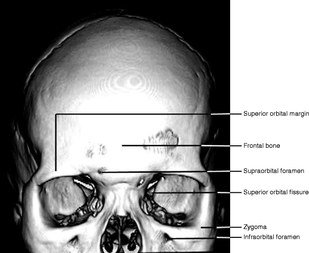 The Orbit | SpringerLink