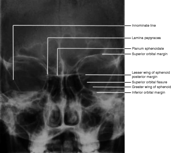 The Orbit | SpringerLink