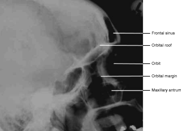 The Orbit | SpringerLink