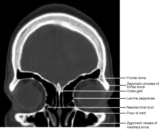 The Orbit | SpringerLink