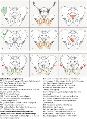 Becken | SpringerLink