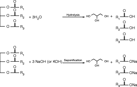 Glycerol as a Skin Barrier Influencing Humectant | SpringerLink