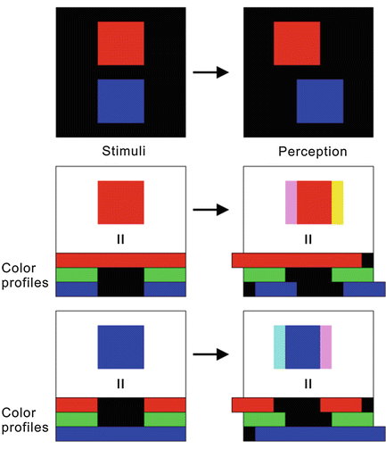 Chromostereopsis | SpringerLink