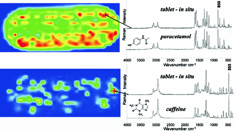 Raman Mapping for the Investigation of Nano-phased Materials | SpringerLink