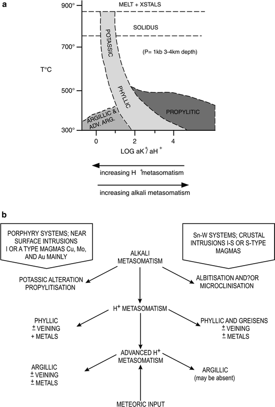 Effects of Metasomatism on Mineral Systems and Their Host Rocks: Alkali ...