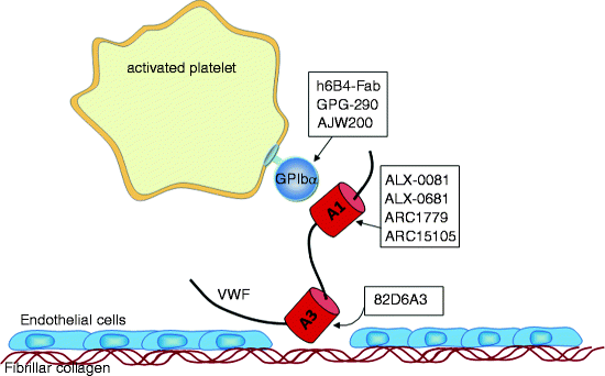 Inhibitors of the Interaction Between von Willebrand Factor and ...