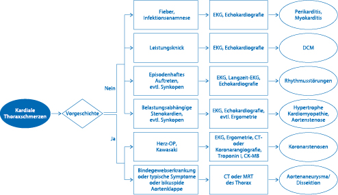 Thoraxschmerzen | SpringerLink