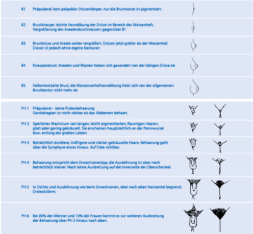 Störungen der Pubertätsentwicklung bei Jungen und Mädchen | SpringerLink