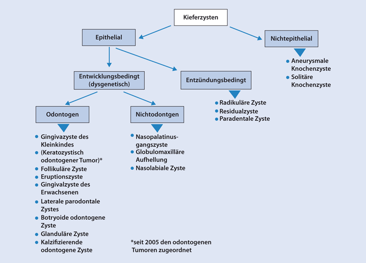 Zysten | SpringerLink