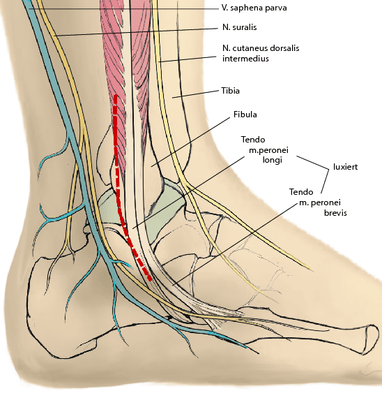Instabilität | SpringerLink