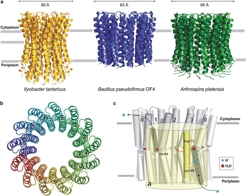 Alkaliphilic Prokaryotes | SpringerLink