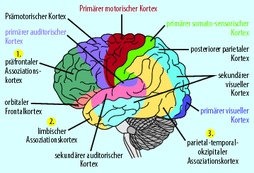 Biofeedback und Neurofeedback | SpringerLink